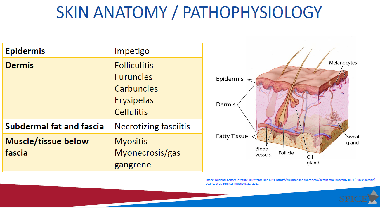 NC CLASP: Outpatient - Statewide Program for Infection Control ...